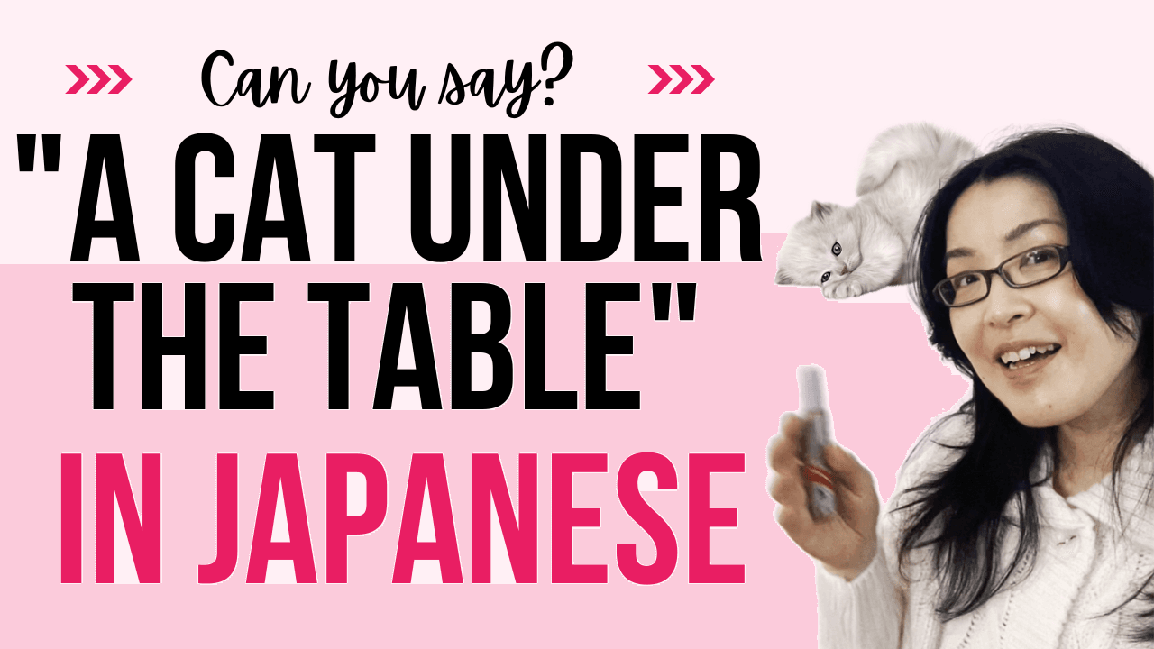 How to say "a cat under the table" sentence in Japanese - FUN Japanese ...